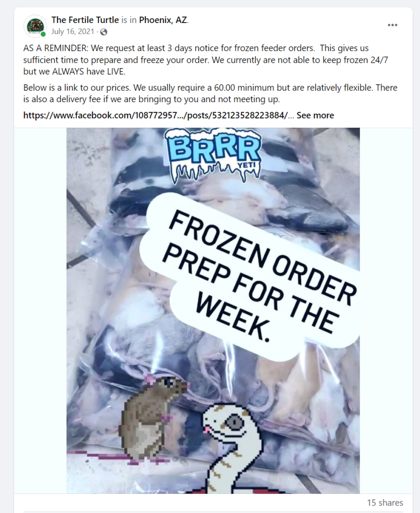 Colten Jones Reptile Breeder – Justice For 318